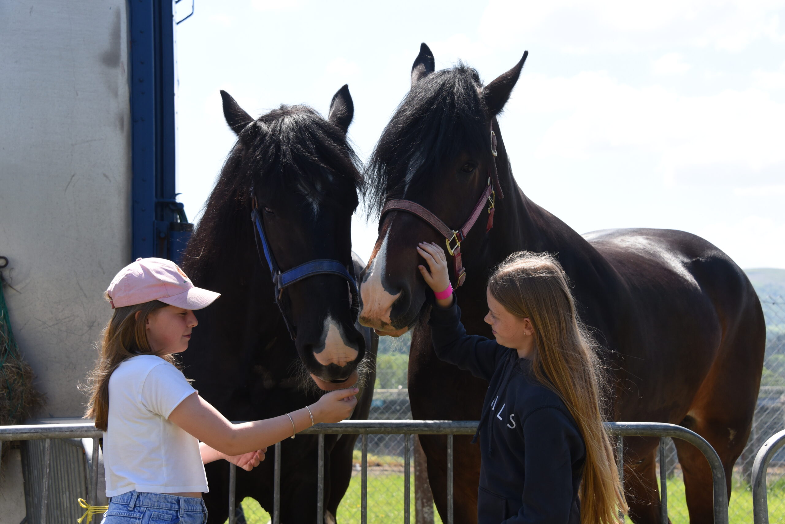 New Heavy Horse and Hound Village to feature at this year’s Royal Welsh ...