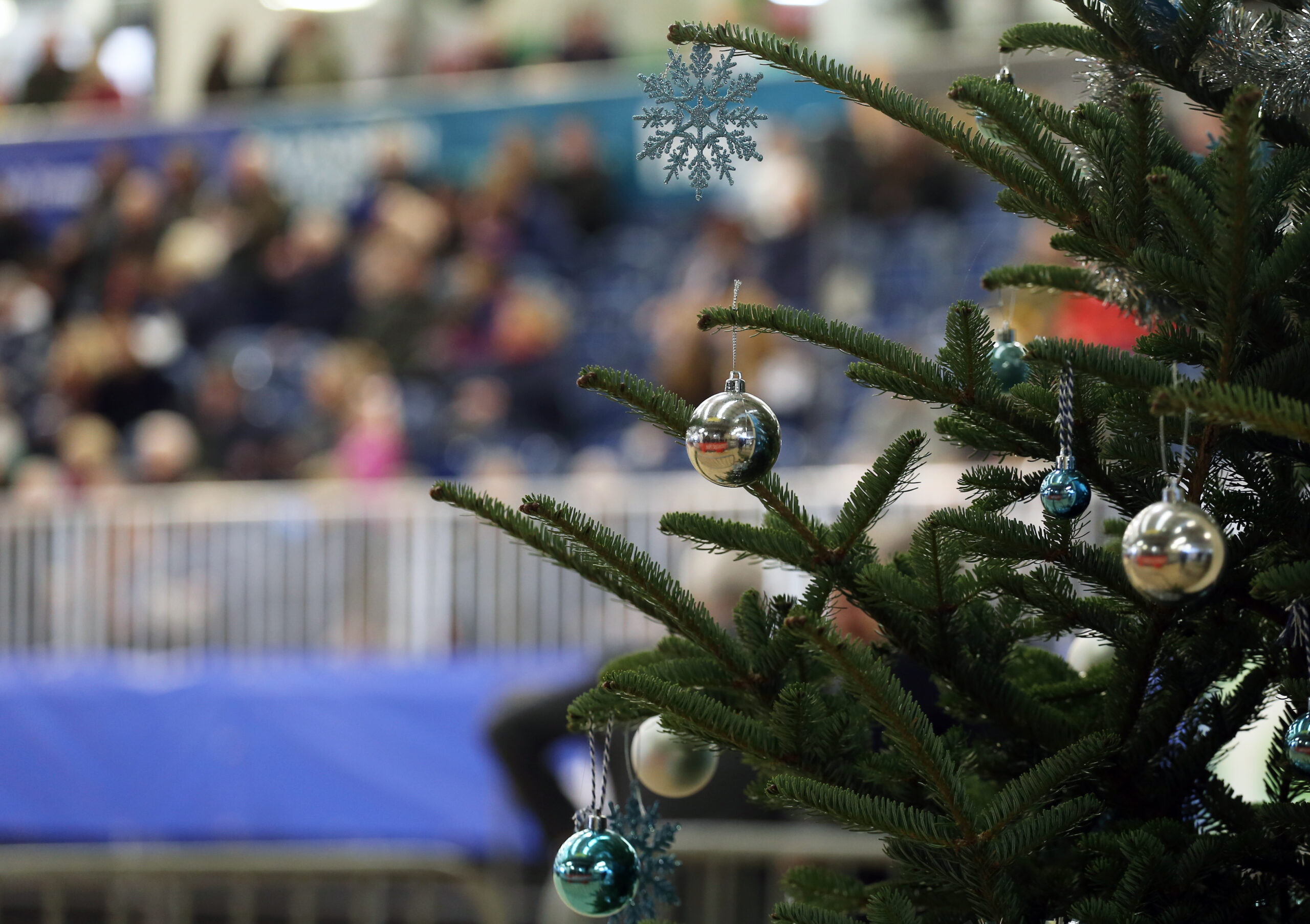 See the best of Wales at the Royal Welsh Winter Fair! - Royal Welsh
